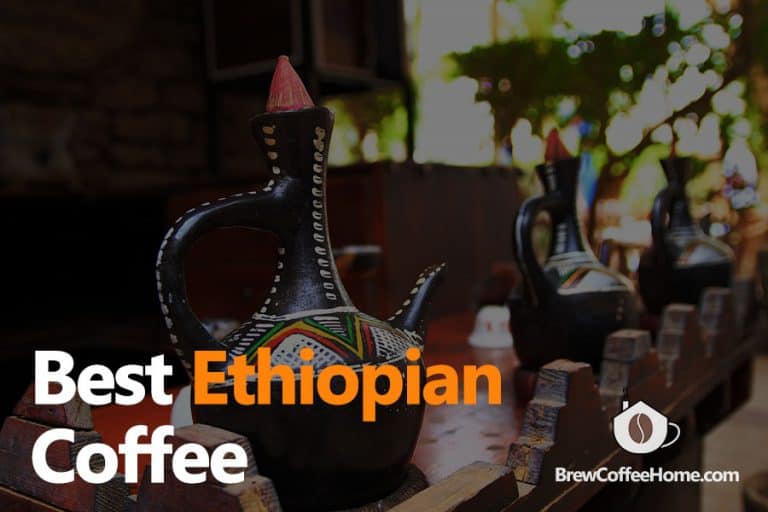 Ethiopian Coffee: A Complete Buying Guide to the Birthplace of Coffee