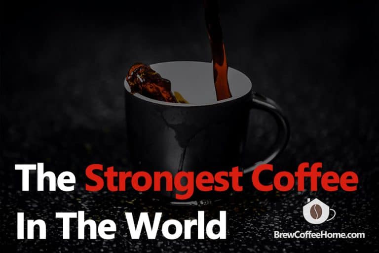 Strongest Coffee in the World of 2024 - Most Caffeinated Coffee Reviews