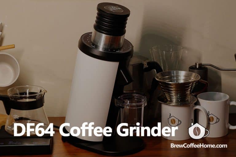 DF64 Grinder Review - Read Before Buying This Espresso Grinder