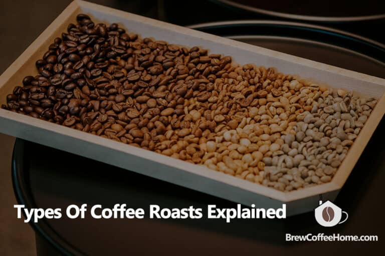 4 Types of Coffee Roasts Explained