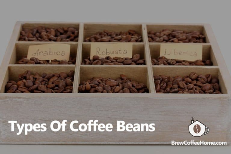 How Many Types of Coffee Beans and Their Characteristics