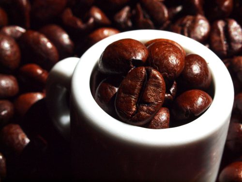Why Coffee Beans Are Oily - Is It Good or Bad?