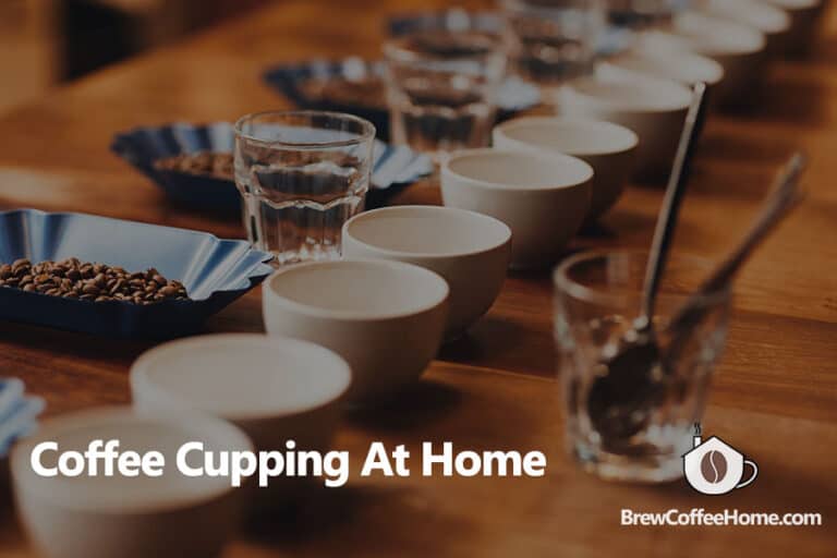 Coffee Cupping Guide - How To Cup Coffee At Home?