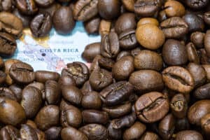 The Ultimate Buying Guide for Costa Rican Coffee (Everything You Need ...