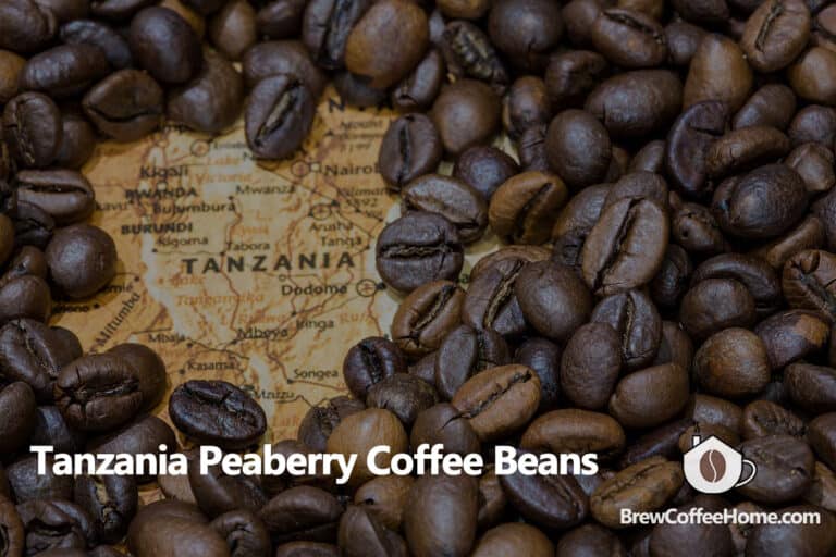 Tanzania Peaberry Coffee Beans - Facts, Flavor and Brands to Try