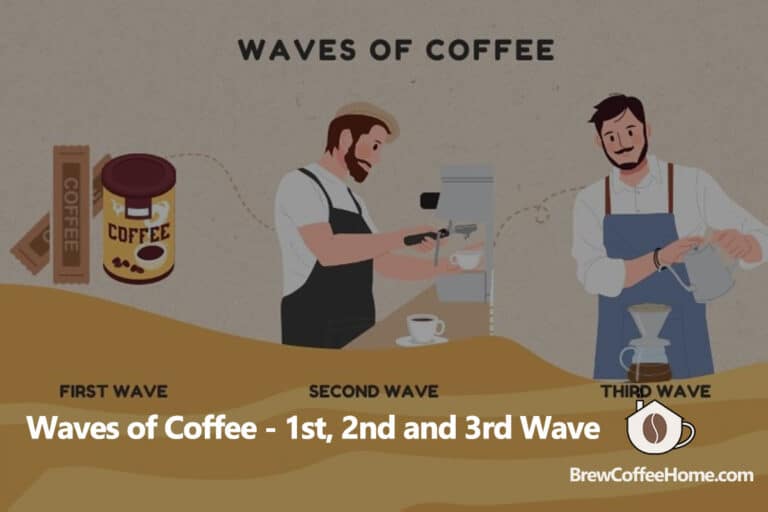 Waves of Coffee Explained: What is First, Second, and Third Wave Coffee?