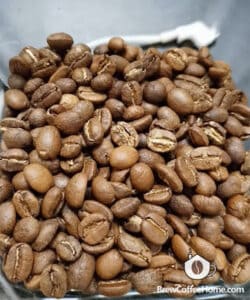 Kenyan Coffee Brands: Extensive Buying Guide & Reviews