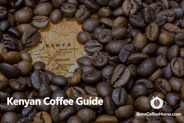 Kenyan Coffee Brands: Extensive Buying Guide & Reviews