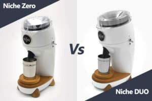 Niche DUO Vs. Zero - Is It Worth Upgrading?